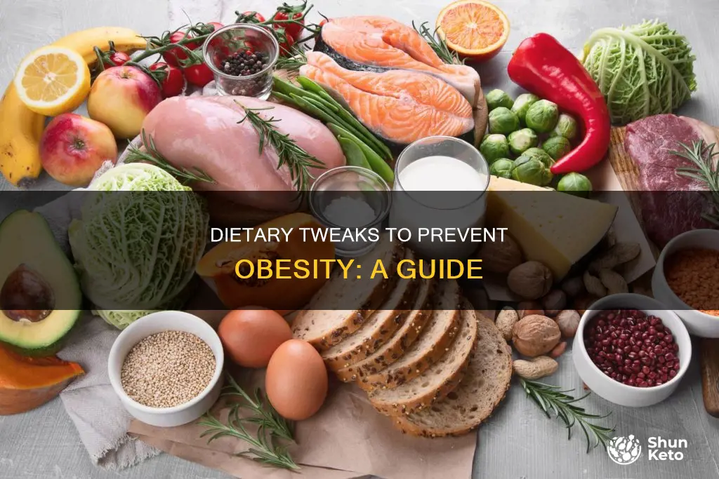 Dietary Tweaks To Prevent Obesity: A Guide | ShunKeto
