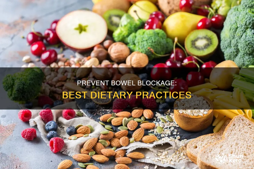 Prevent Bowel Blockage: Best Dietary Practices | ShunKeto