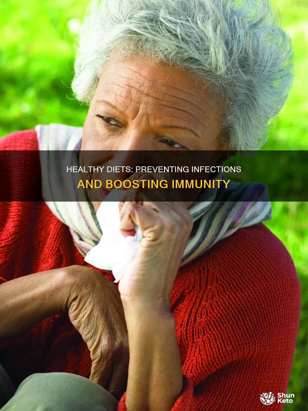 Healthy Diets: Preventing Infections And Boosting Immunity | ShunKeto