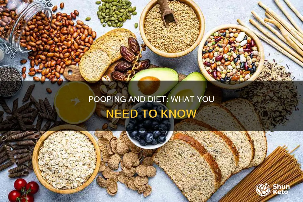 Pooping And Diet: What You Need To Know | ShunKeto