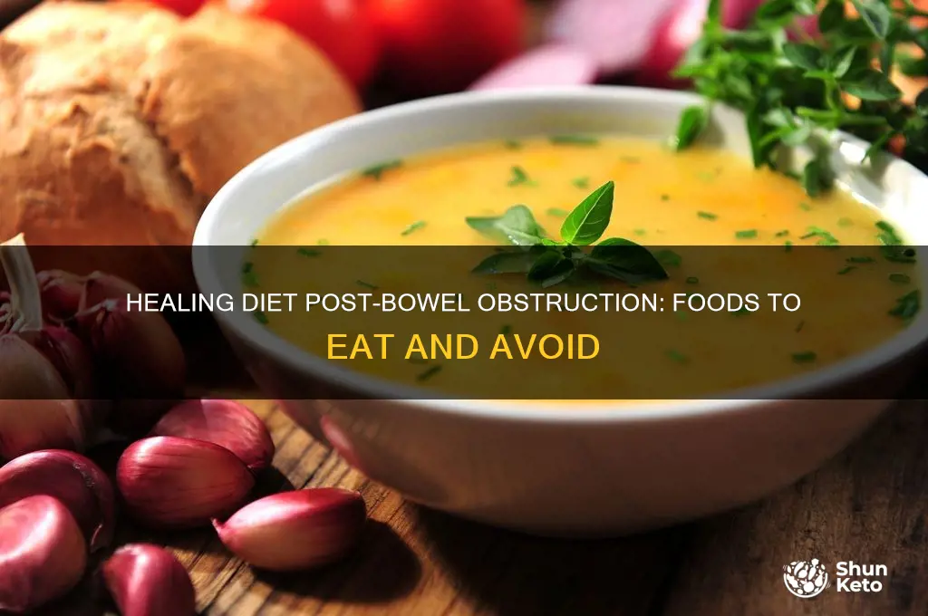 Healing Diet Post Bowel Obstruction Foods To Eat And Avoid ShunKeto Healing Diet Post Bowel Obstruction Foods To Eat And Avoid ShunKeto