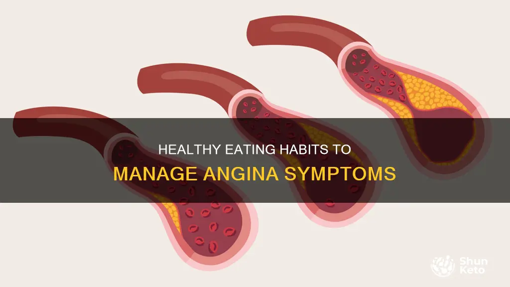 Healthy Eating Habits To Manage Angina Symptoms | ShunKeto