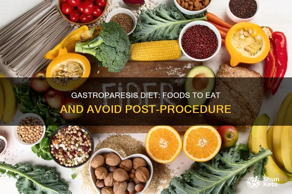 Gastroparesis Diet: Foods To Eat And Avoid Post-Procedure | ShunKeto