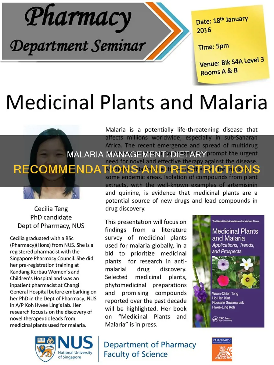 Malaria Management: Dietary Recommendations And Restrictions | ShunKeto