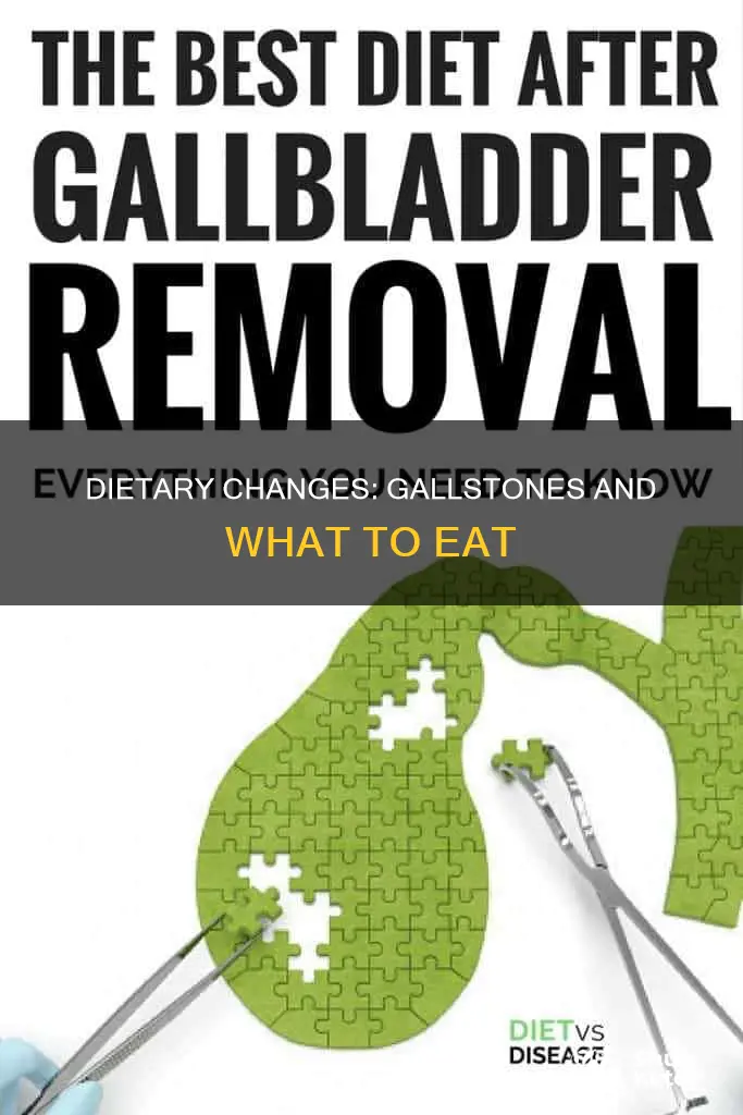 Dietary Changes: Gallstones And What To Eat | ShunKeto