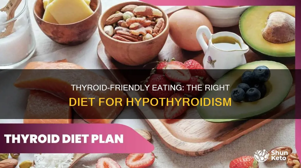 Thyroid-Friendly Eating: The Right Diet For Hypothyroidism | ShunKeto