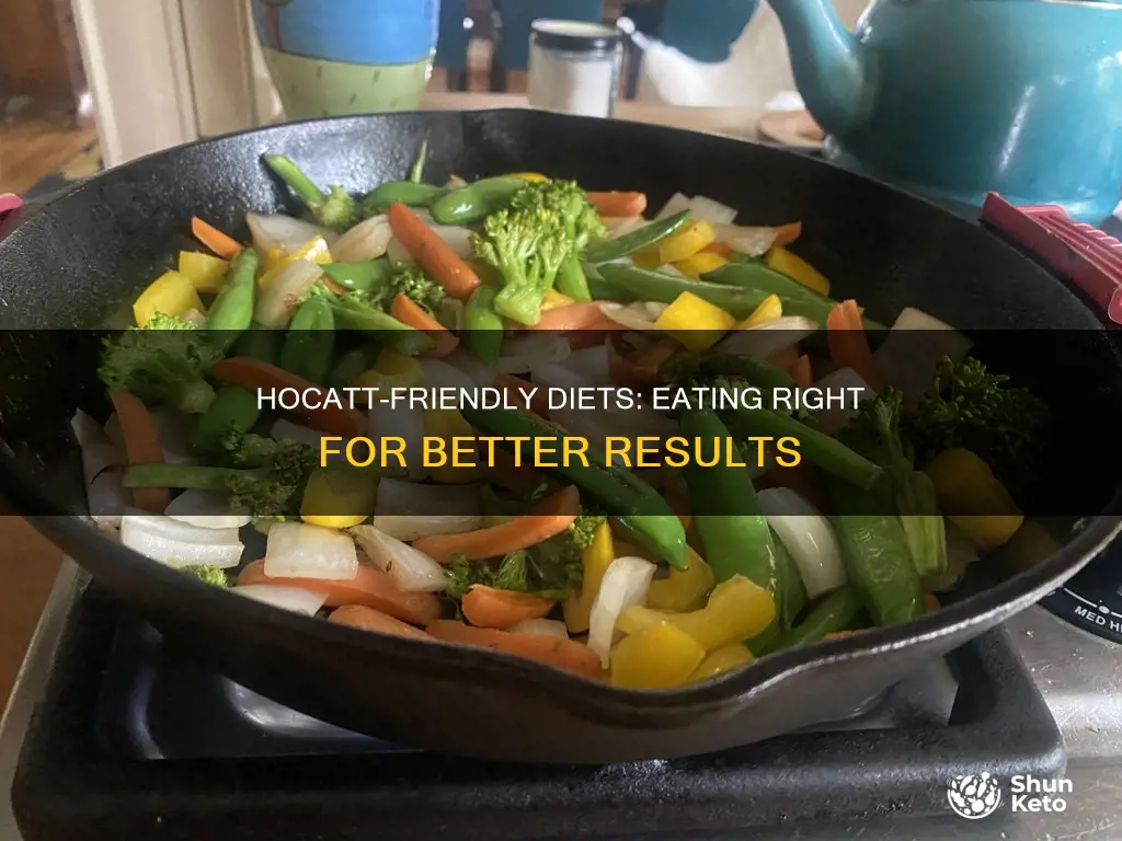 Hocatt-Friendly Diets: Eating Right For Better Results | ShunKeto