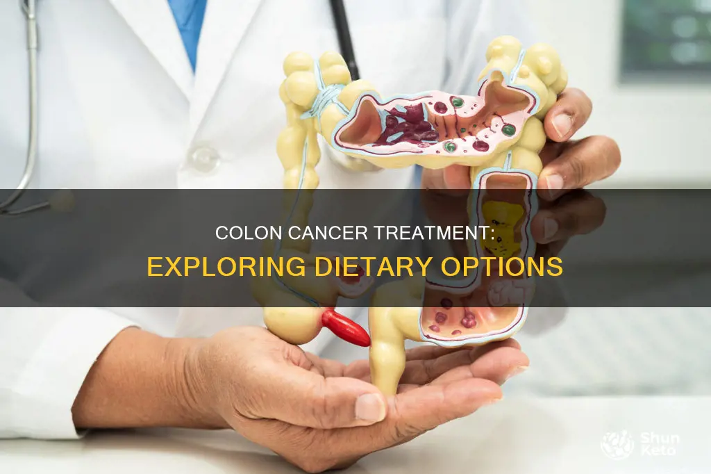 Colon Cancer Treatment: Exploring Dietary Options | ShunKeto