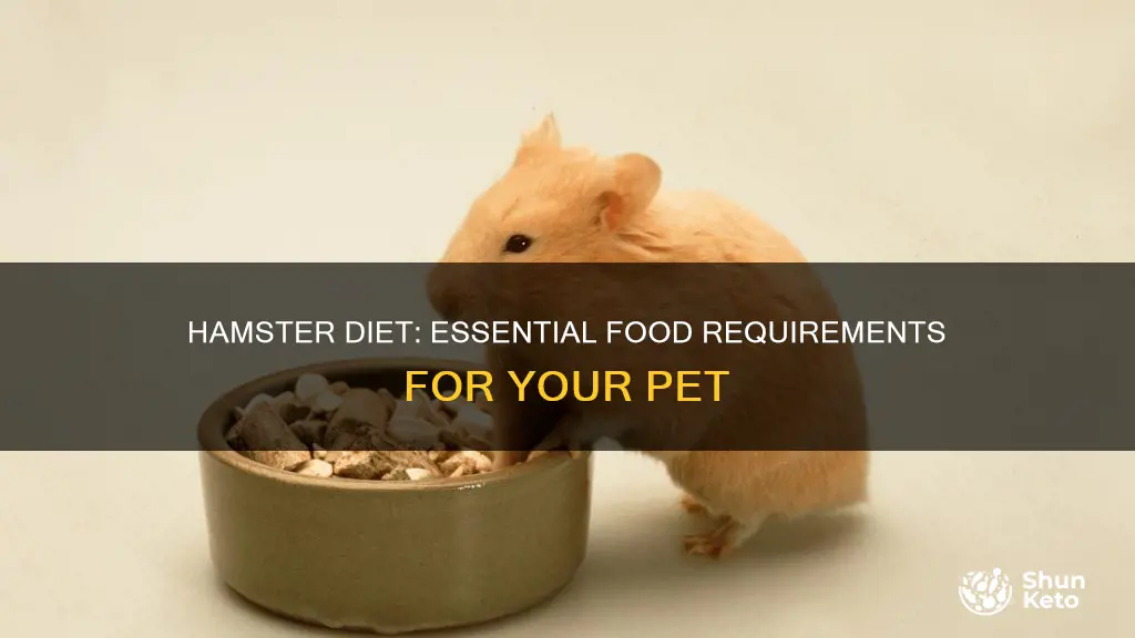 Hamster Diet: Essential Food Requirements For Your Pet | ShunKeto