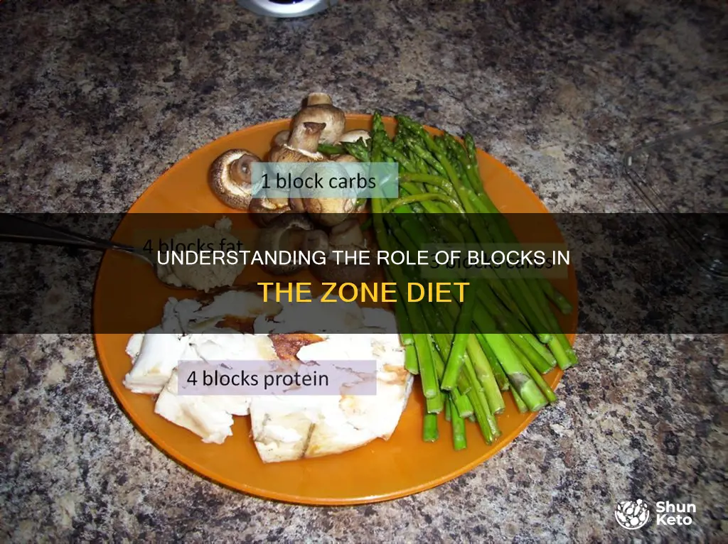 Understanding The Role Of Blocks In The Zone Diet | ShunKeto