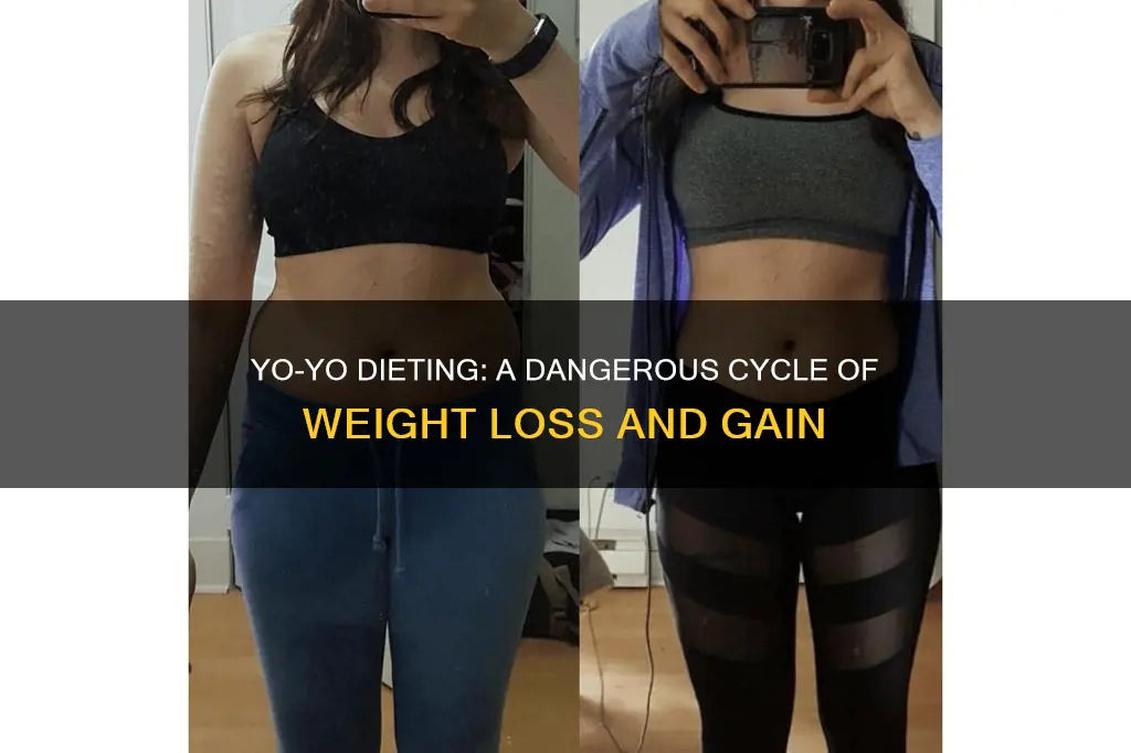 Yo-Yo Dieting: A Dangerous Cycle Of Weight Loss And Gain | ShunKeto