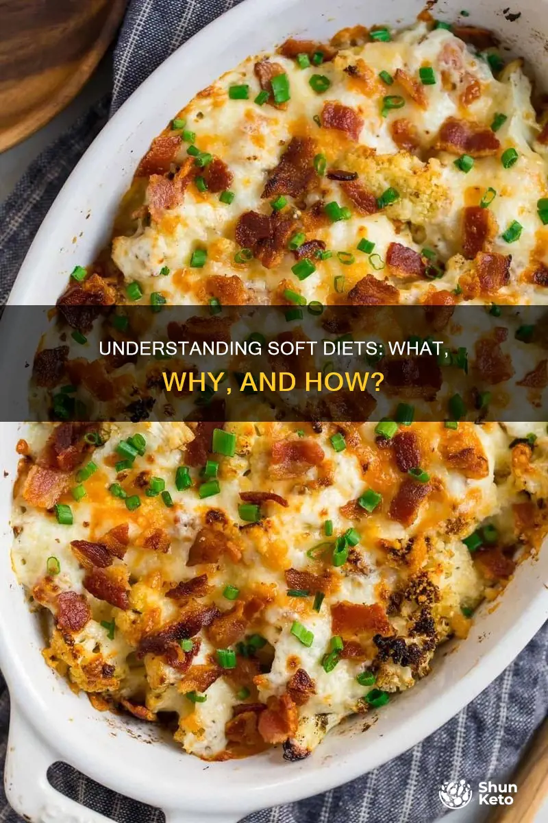 Understanding Soft Diets: What, Why, And How? | ShunKeto