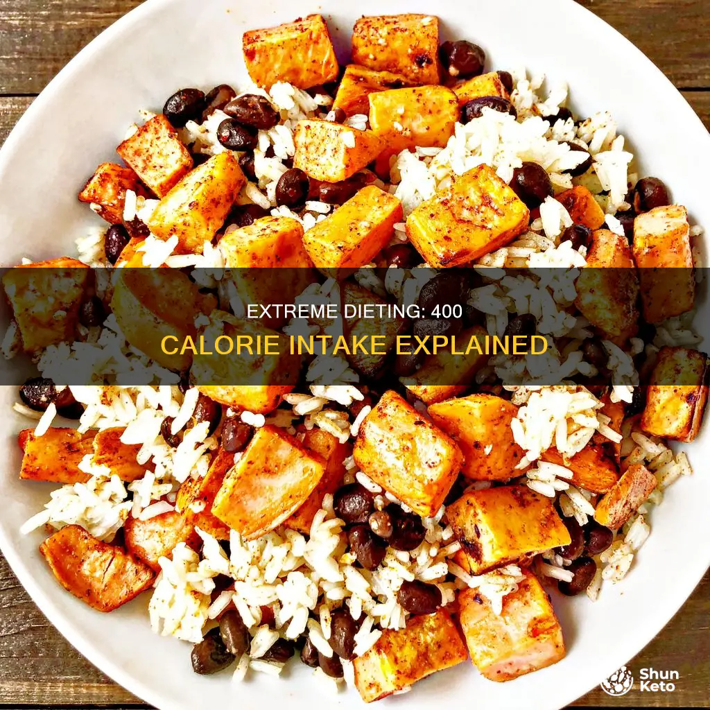 Extreme Dieting: 400 Calorie Intake Explained | ShunKeto