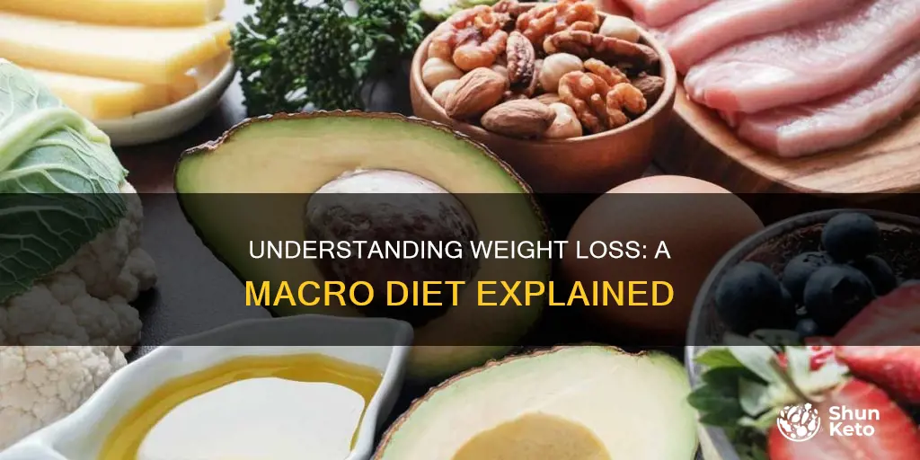 Understanding Weight Loss: A Macro Diet Explained | ShunKeto