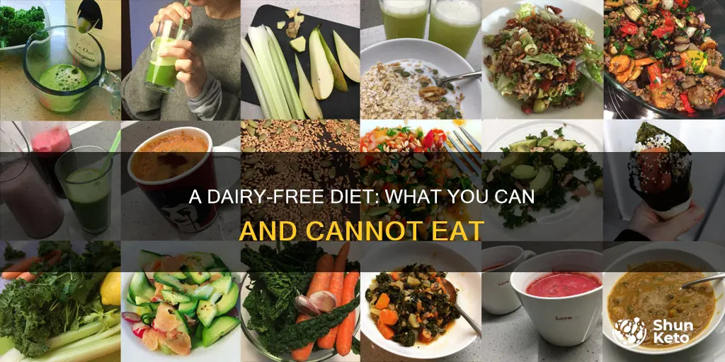 A Dairy-Free Diet: What You Can And Cannot Eat | ShunKeto