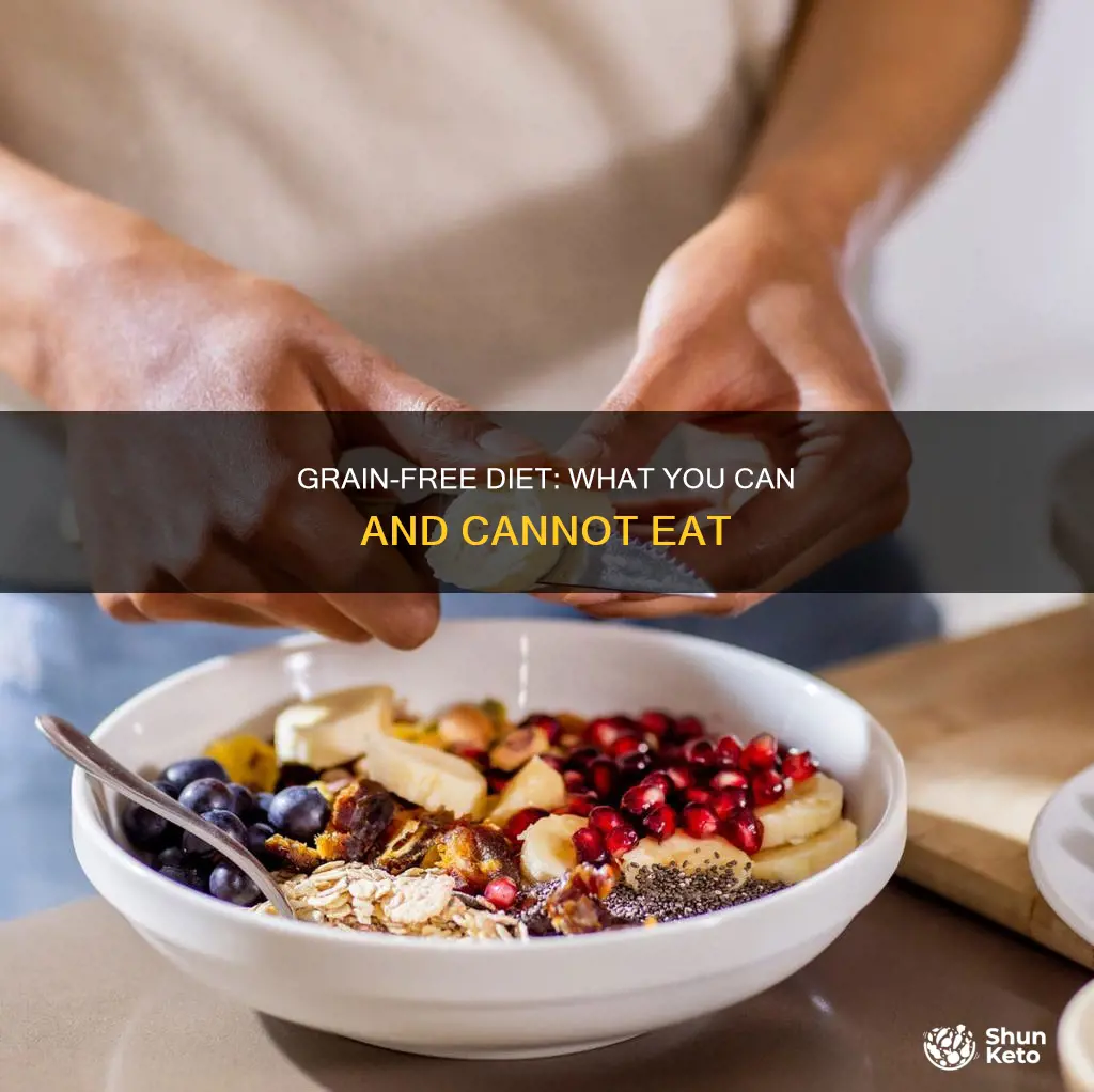 Grain-Free Diet: What You Can And Cannot Eat | ShunKeto