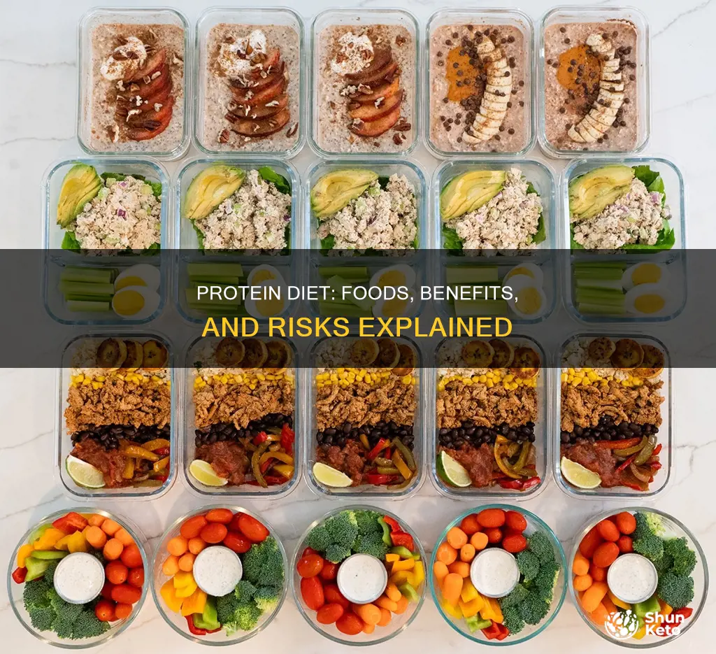 Protein Diet: Foods, Benefits, And Risks Explained | ShunKeto