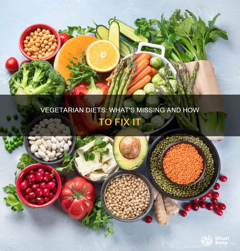 Vegetarian Diets: What's Missing And How To Fix It | ShunKeto