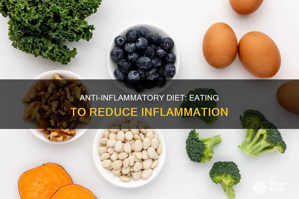 Anti-Inflammatory Diet: Eating To Reduce Inflammation | ShunKeto