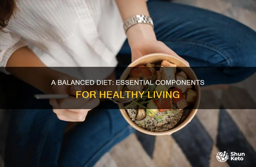 A Balanced Diet: Essential Components For Healthy Living | ShunKeto