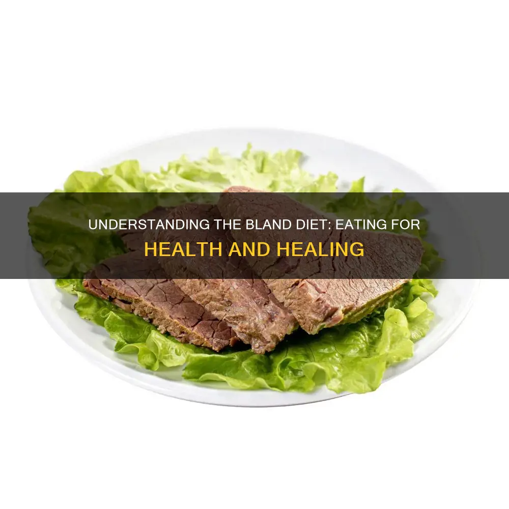 Understanding The Bland Diet: Eating For Health And Healing | ShunKeto