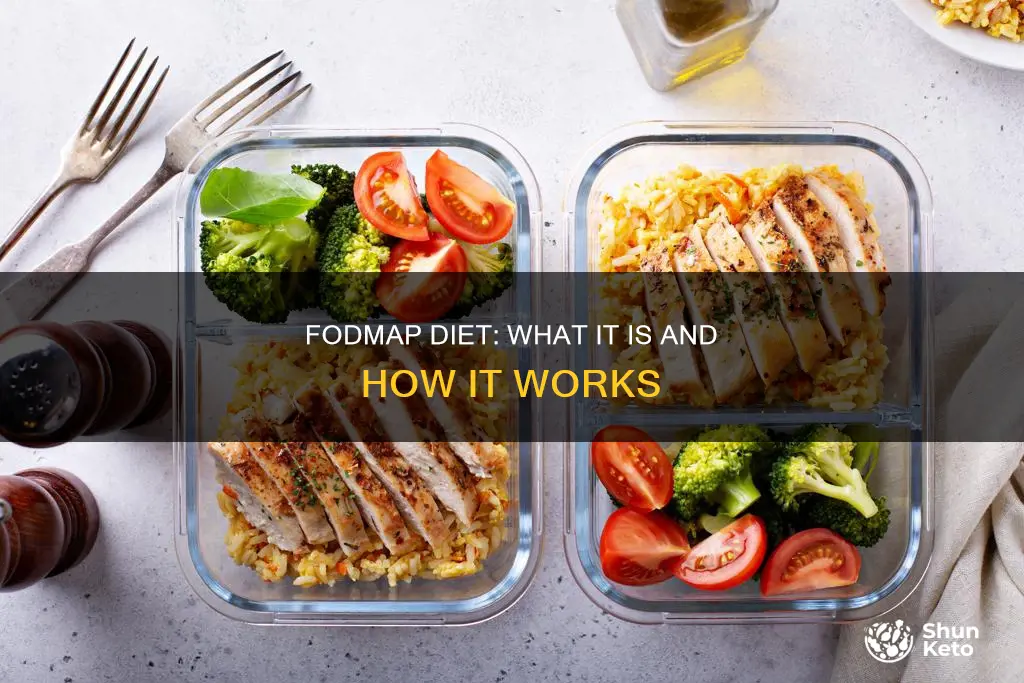 Fodmap Diet: What It Is And How It Works | ShunKeto