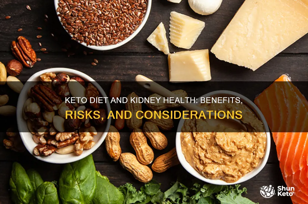 Keto Diet And Kidney Health: Benefits, Risks, And Considerations | ShunKeto