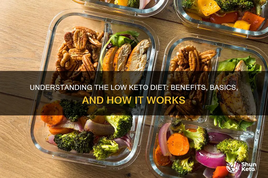 Understanding The Low Keto Diet: Benefits, Basics, And How It Works ...