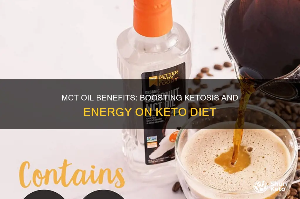 Mct Oil Benefits: Boosting Ketosis And Energy On Keto Diet | ShunKeto
