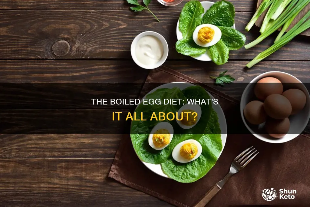 The Boiled Egg Diet: What's It All About? | ShunKeto