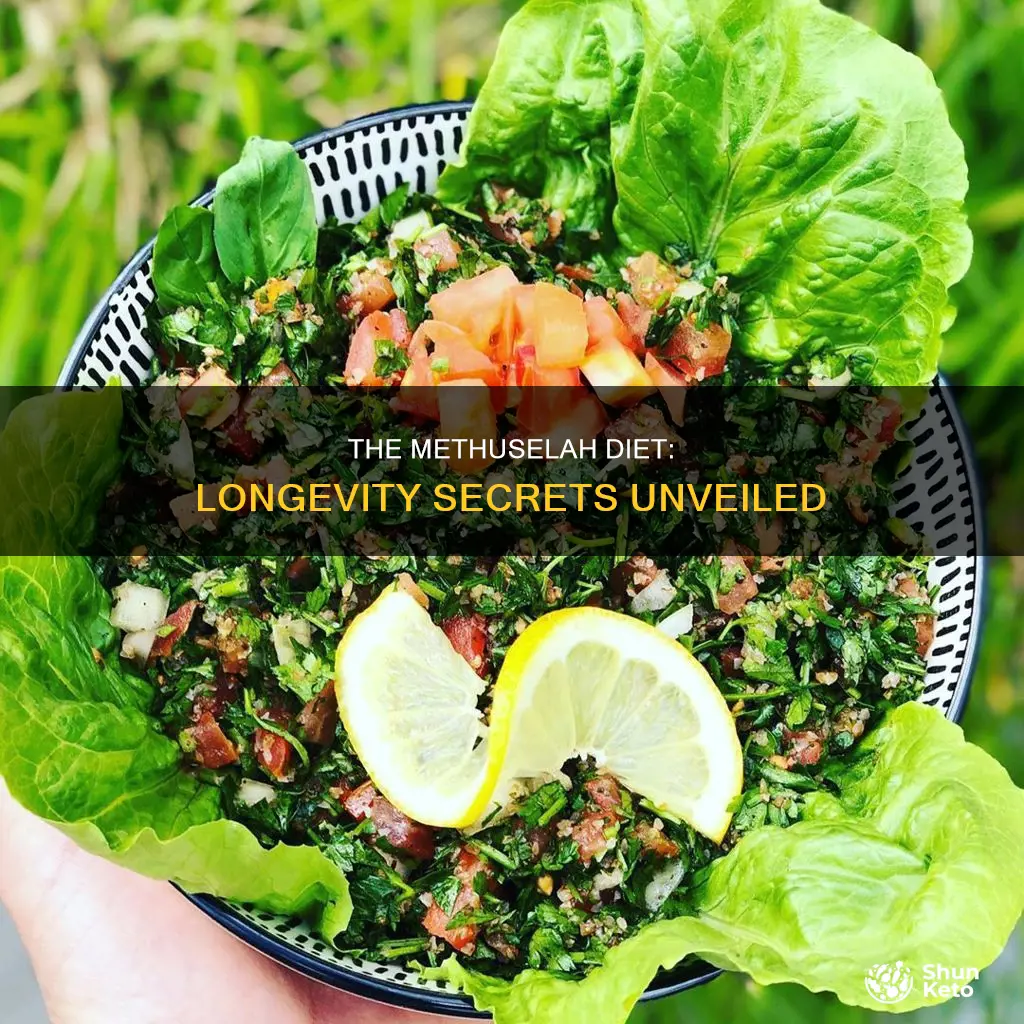 The Methuselah Diet: Longevity Secrets Unveiled | ShunKeto
