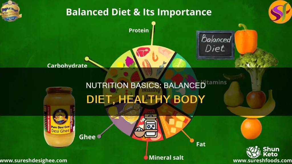 Nutrition Basics: Balanced Diet, Healthy Body | ShunKeto