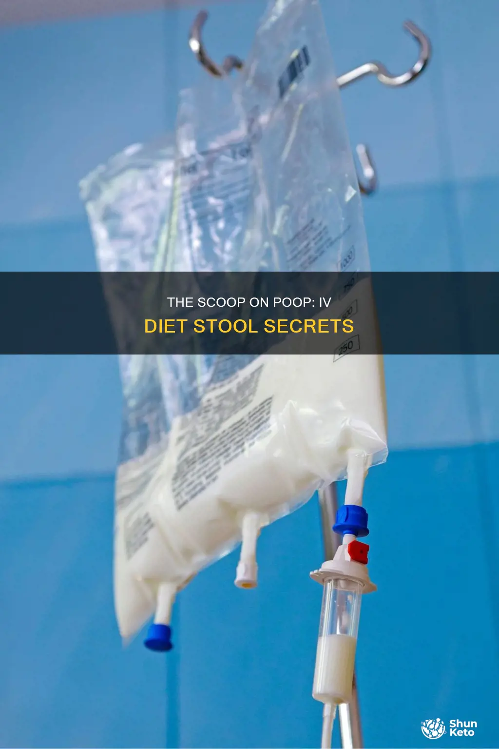 The Scoop On Poop: Iv Diet Stool Secrets | ShunKeto