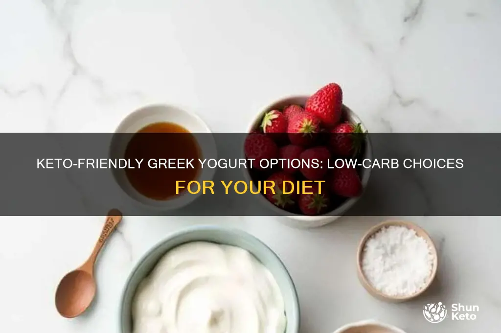 Keto-Friendly Greek Yogurt Options: Low-Carb Choices For Your Diet ...