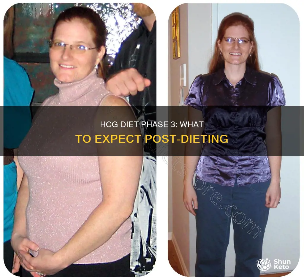 Hcg Diet Phase 3: What To Expect Post-Dieting | ShunKeto