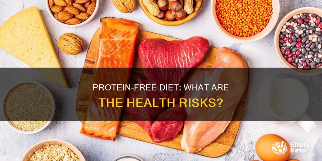 Protein-Free Diet: What Are The Health Risks? | ShunKeto