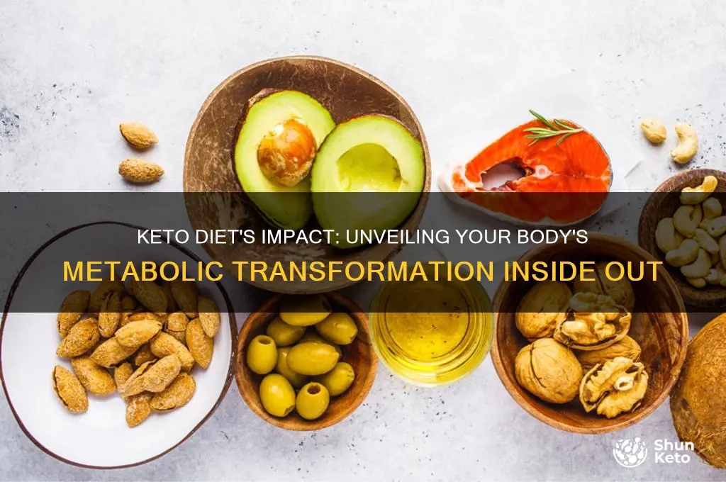 Keto Diet's Impact: Unveiling Your Body's Metabolic Transformation ...