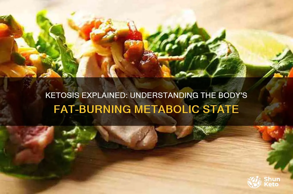 Ketosis Explained: Understanding The Body's Fat-Burning Metabolic State ...