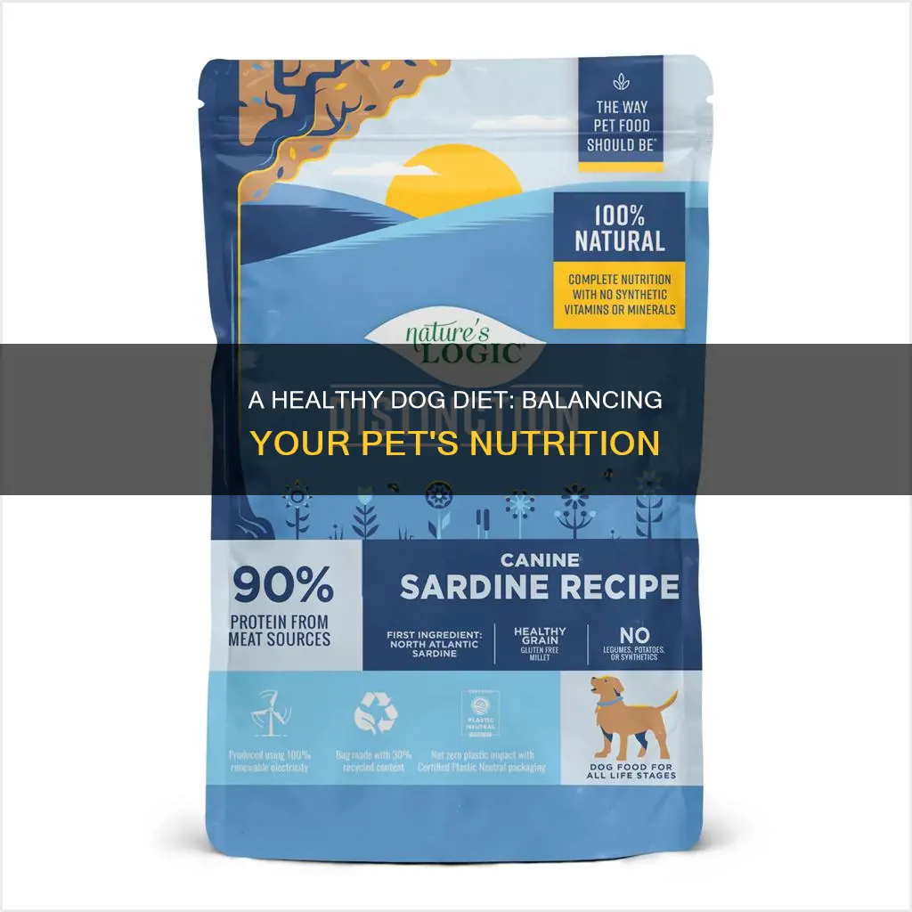 A Healthy Dog Diet: Balancing Your Pet's Nutrition | ShunKeto