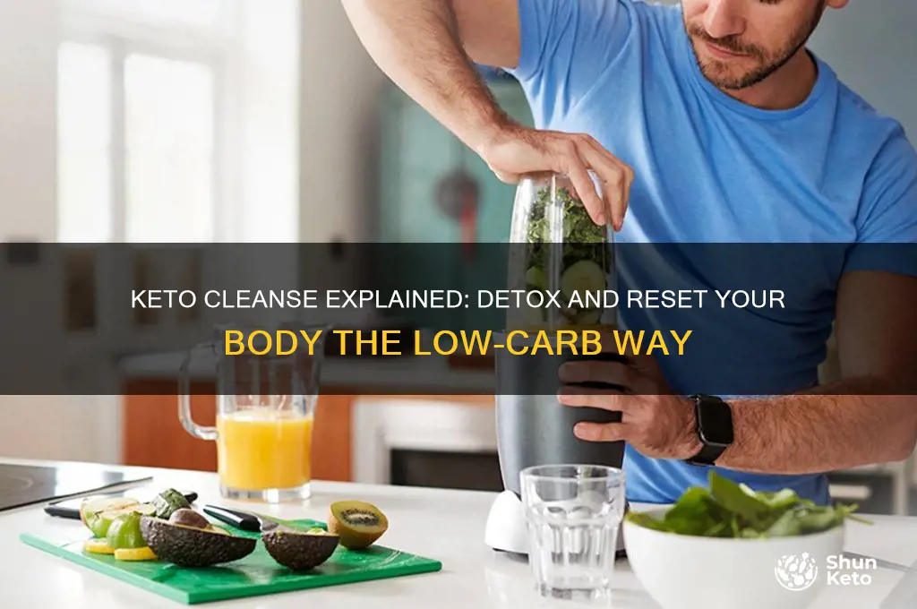 Keto Cleanse Explained: Detox And Reset Your Body The Low-Carb Way ...