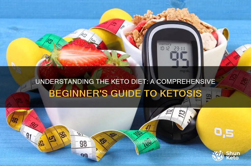 Understanding The Keto Diet: A Comprehensive Beginner's Guide To ...