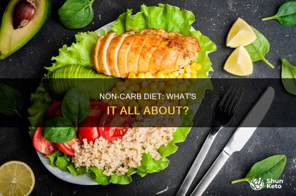 Non-Carb Diet: What's It All About? | ShunKeto