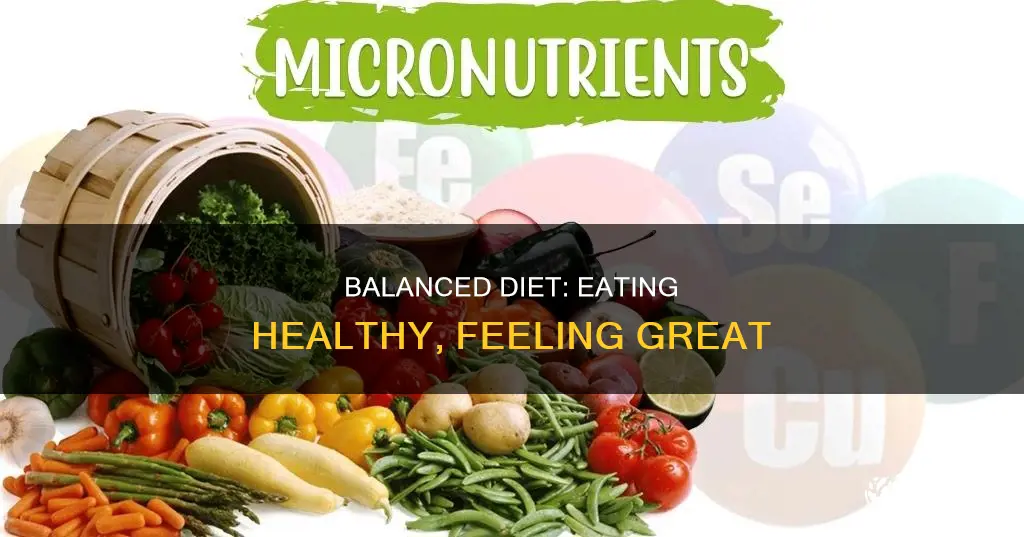 Balanced Diet: Eating Healthy, Feeling Great | ShunKeto