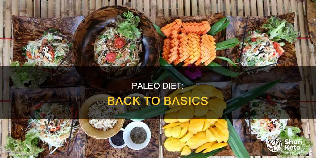 Paleo Diet: Back To Basics | ShunKeto