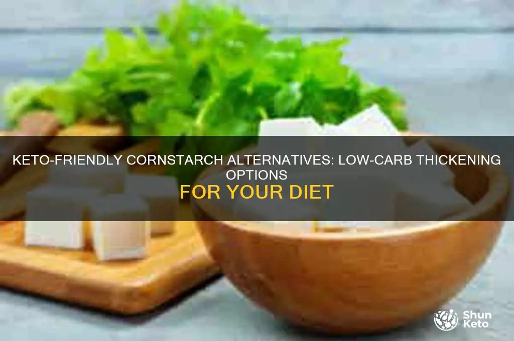 Keto-Friendly Cornstarch Alternatives: Low-Carb Thickening Options For ...