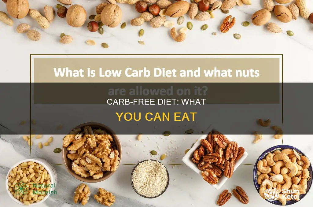 Carb-Free Diet: What You Can Eat | ShunKeto