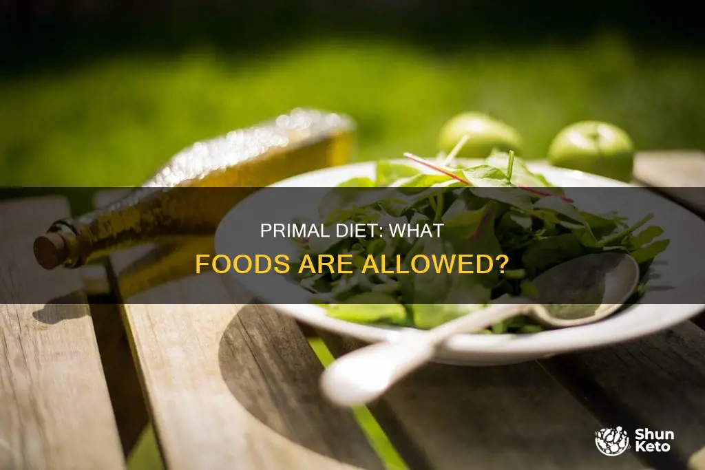 Primal Diet: What Foods Are Allowed? | ShunKeto