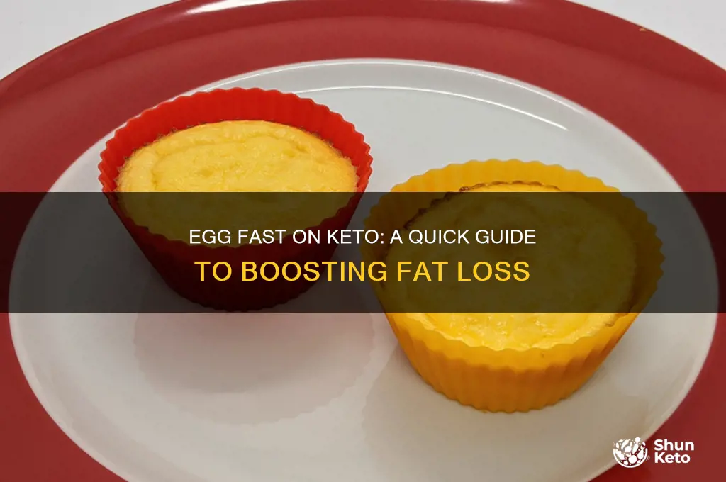 Egg Fast On Keto: A Quick Guide To Boosting Fat Loss | ShunKeto