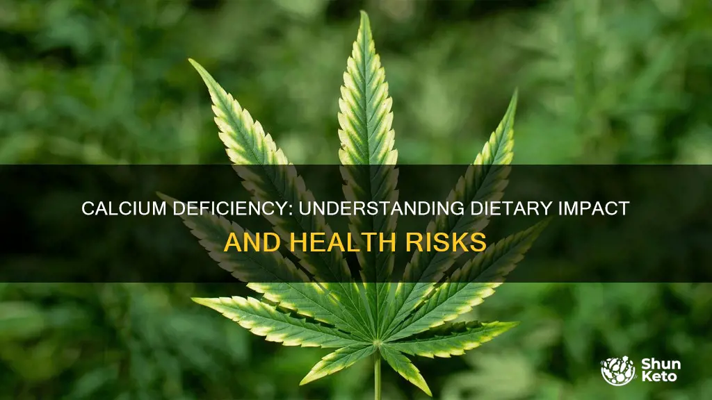 Calcium Deficiency: Understanding Dietary Impact And Health Risks ...