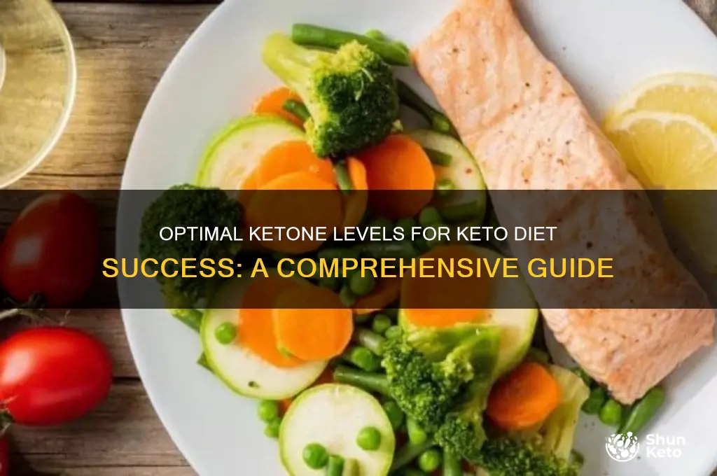 Optimal Ketone Levels For Keto Diet Success: A Comprehensive Guide ...